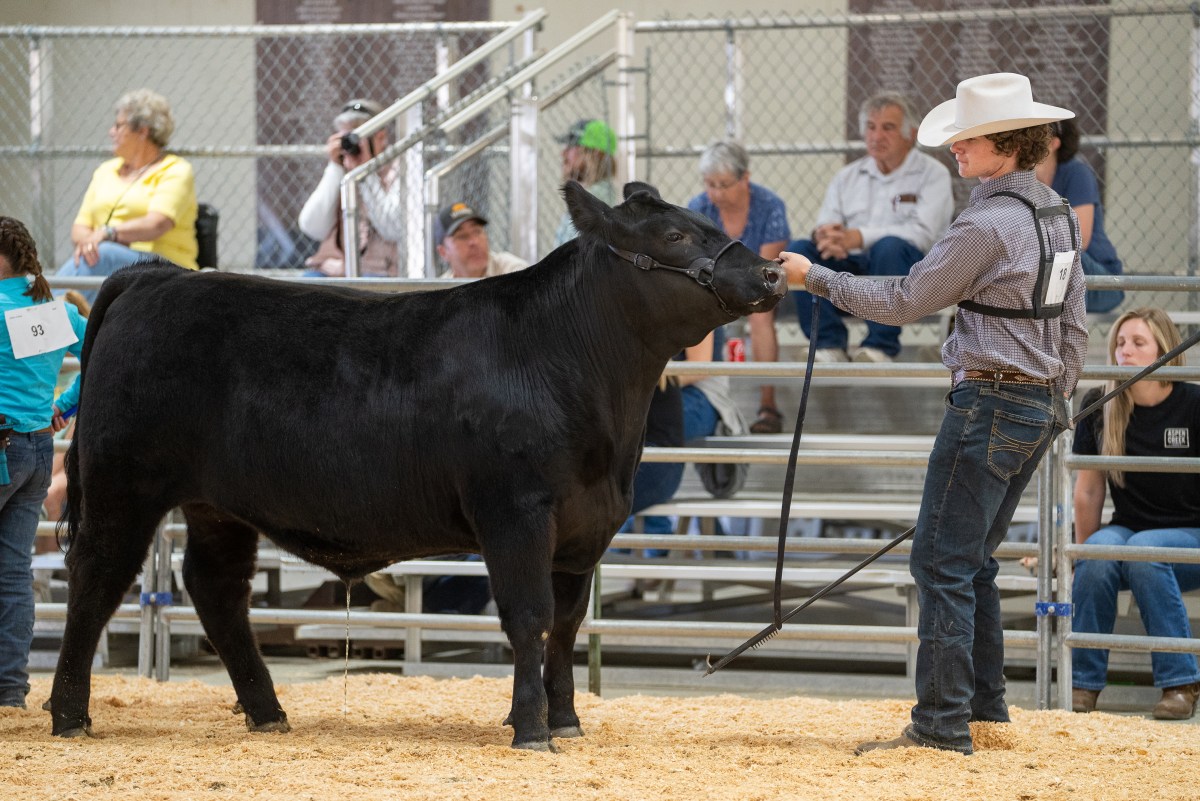 Get your Beef now. – Got Beef?