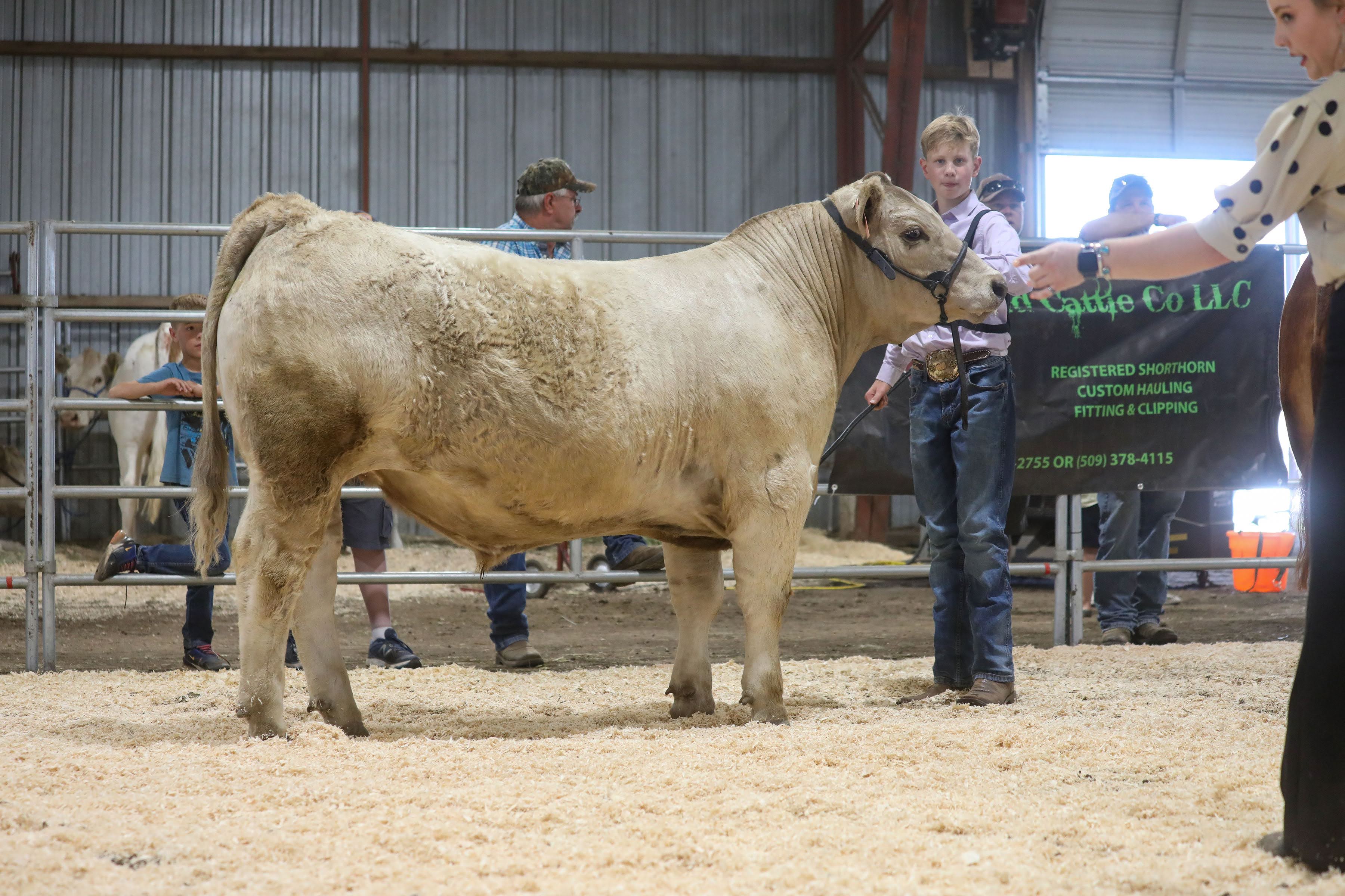 Beef Shares – Got Beef?