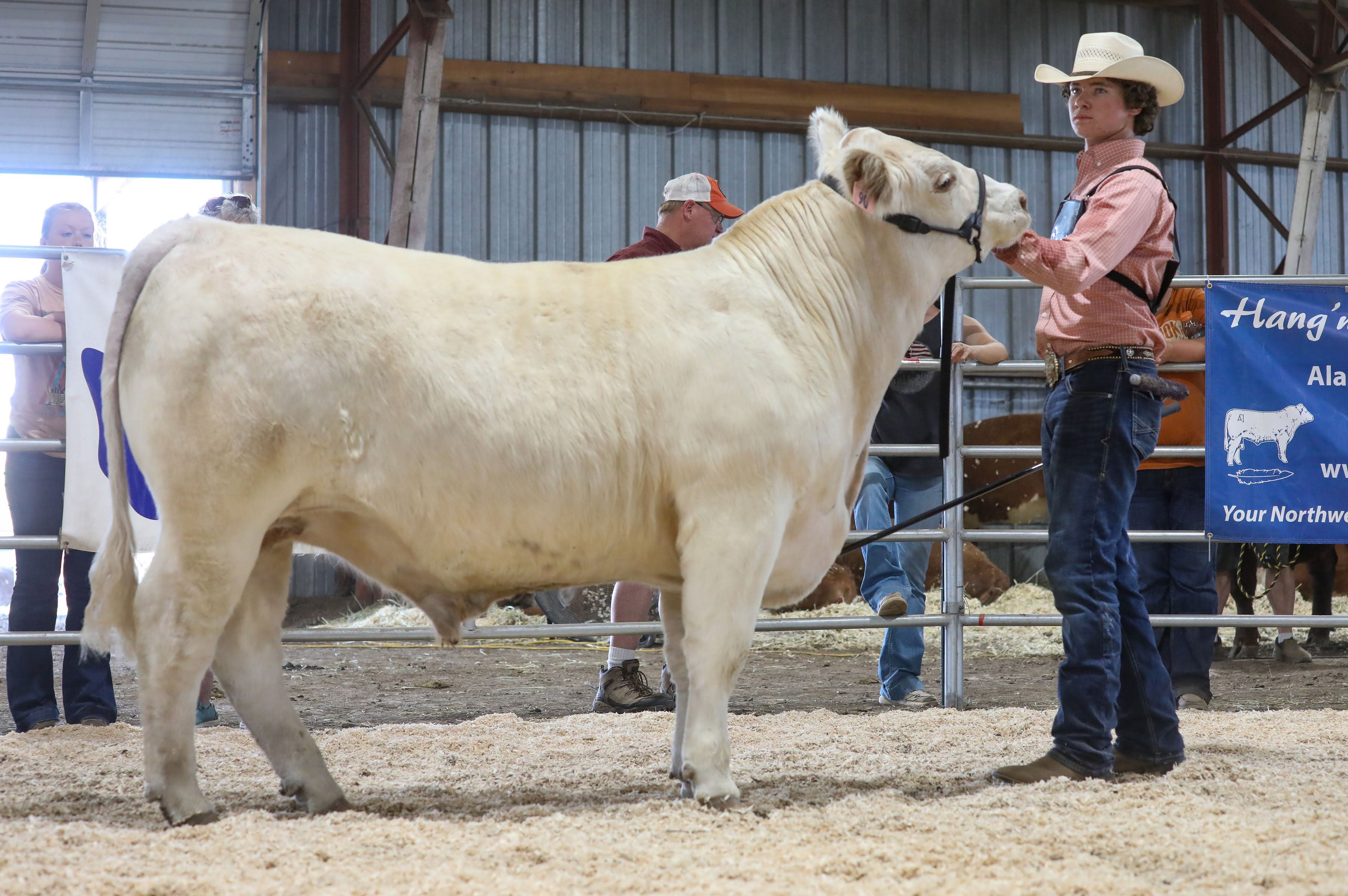 Beef Shares – Got Beef?