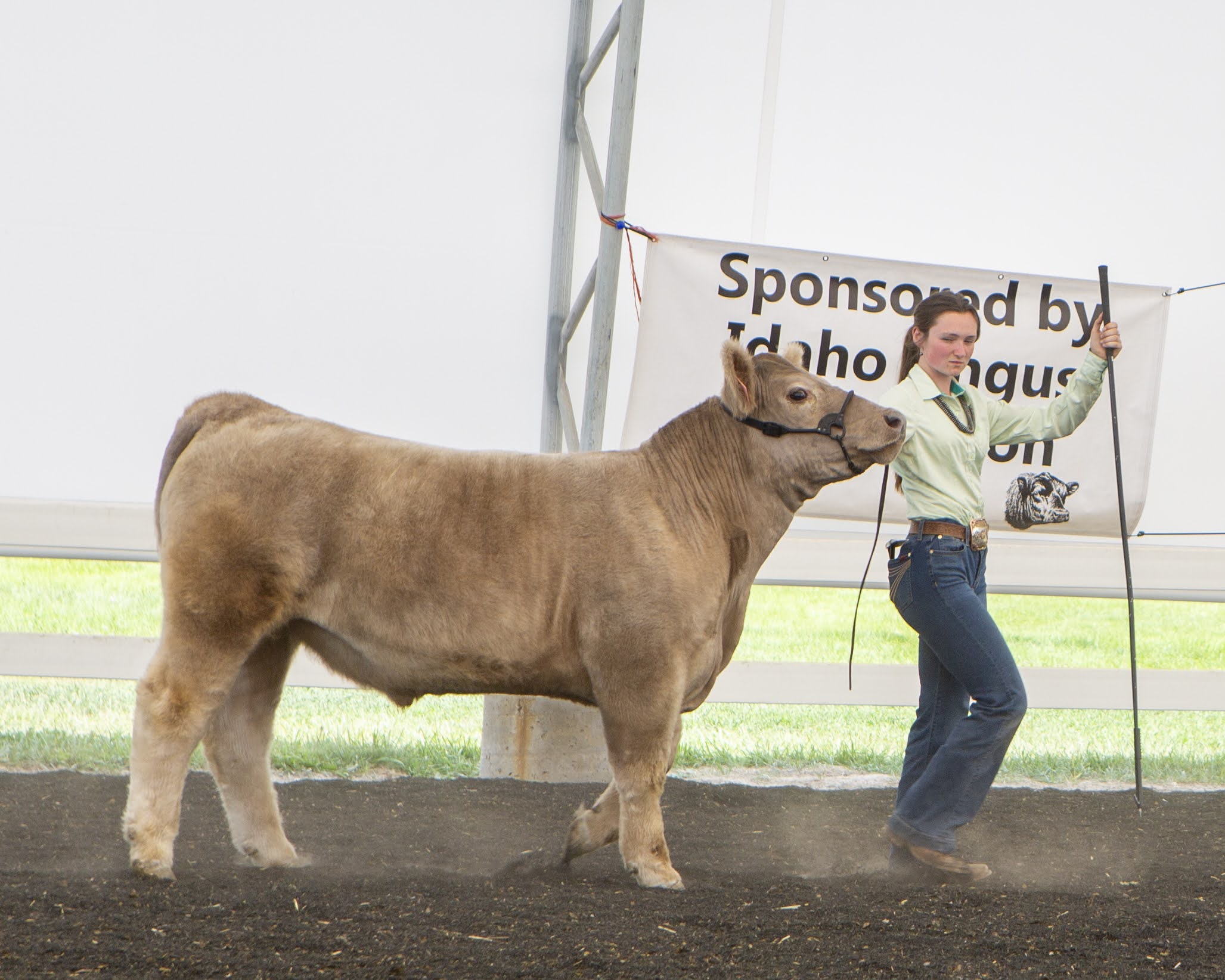 Beef Shares – Got Beef?