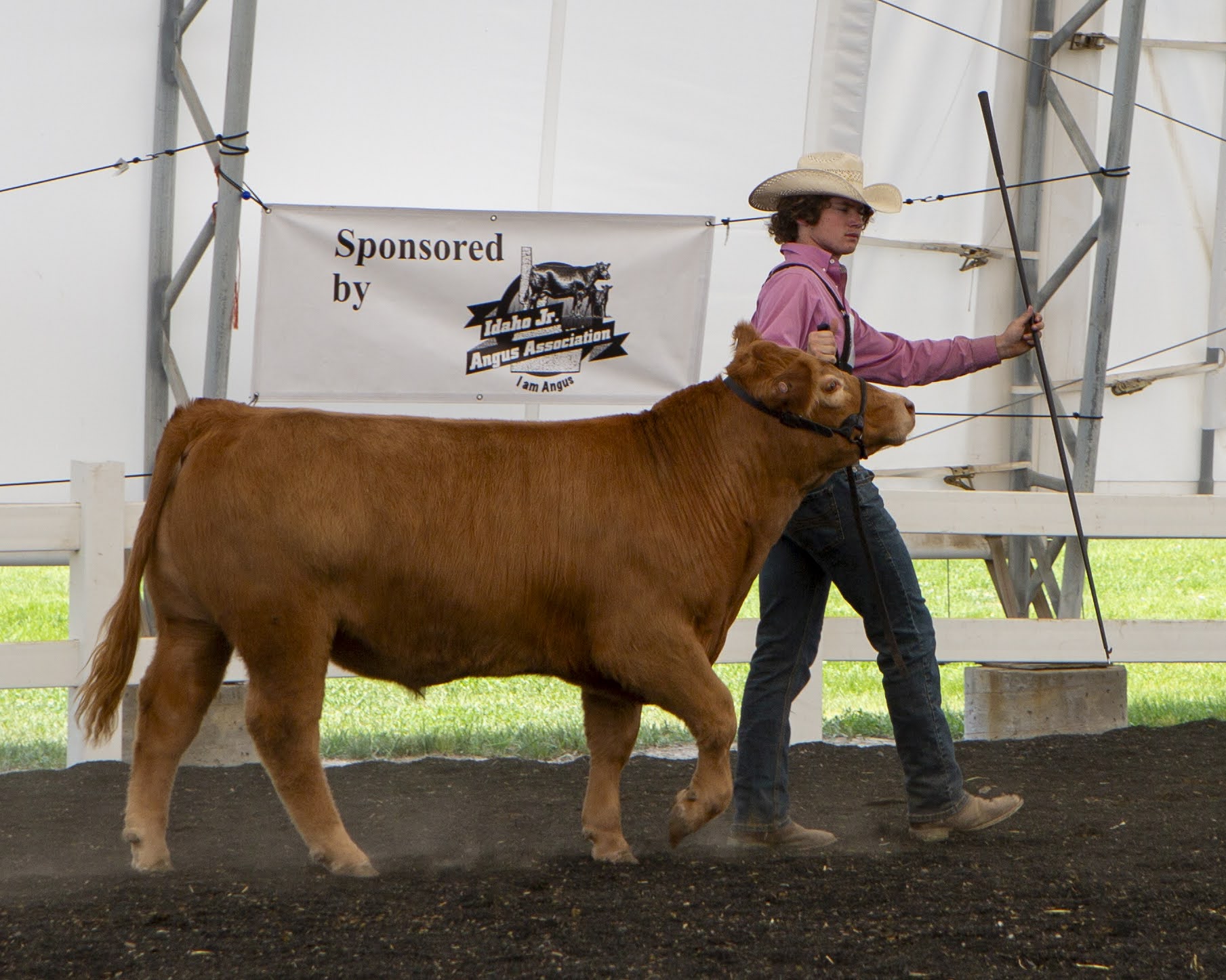 Beef Shares – Got Beef?